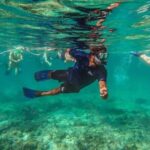 Snorkeling Experience in Cancun - Hands Underwater Museum - Practical Details: What to Expect and What’s Included