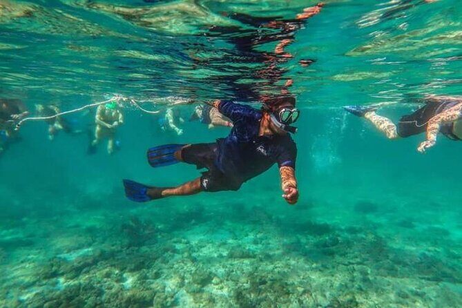 Snorkeling Experience in Cancun - Hands Underwater Museum - Practical Details: What to Expect and What’s Included