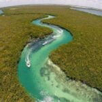 Snorkeling Experience in Cancún with Speedboat (Couple) - Mangrove Reserve and Lagoon Views