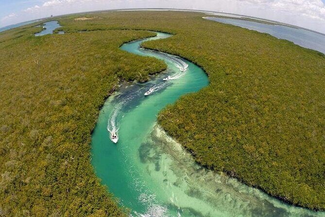 Snorkeling Experience in Cancún with Speedboat (Couple) - Mangrove Reserve and Lagoon Views