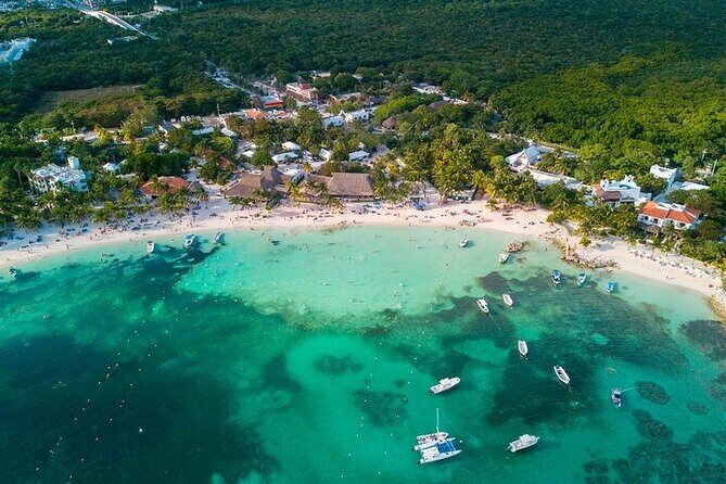 Snorkeling Experience with Turtles in Cenote in Riviera Maya - Who Is This Tour Best For?