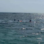 Snorkeling Express Puerto Morelos - Authentic Insights & Traveler Tips