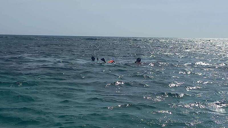 Snorkeling Express Puerto Morelos - Authentic Insights & Traveler Tips