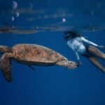 Snorkeling Open Ocean Wildlife Safari in Los Cabos with Photos Included - The Value of This Tour