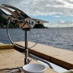 Snorkeling Shark Ray and Discovery DE the Black Pearl in Bora Bora - Final Thoughts