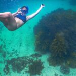 Snorkeling To Discover Sydney's Underwater Wonders - The Sum Up: Is This Snorkeling Tour Worth It?