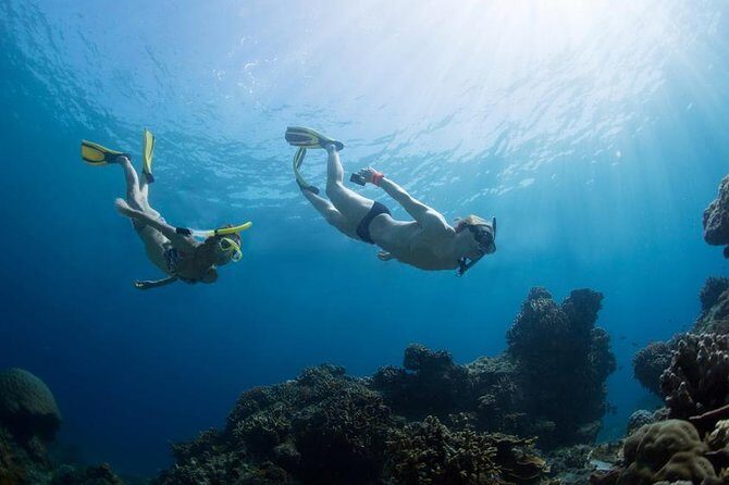 Snorkeling Tour at Land's End in Cabo San Lucas - What Reviewers Say: Authentic Insights