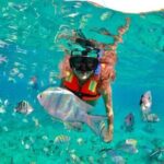 Snorkeling tour Express in Cancun with Certified Guide - Authentic Insights from Reviews