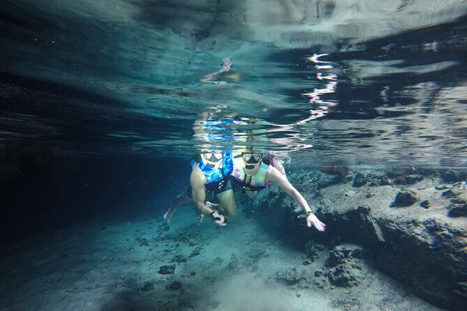 Snorkeling with Sea Turtles and Cenote Adventure - Final Thoughts: Is This Tour Worth It?