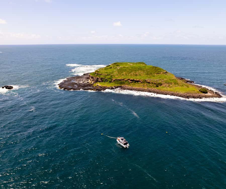 Snorkelling with Turtles at Cook Island Marine Rserve - Practical Details and Considerations