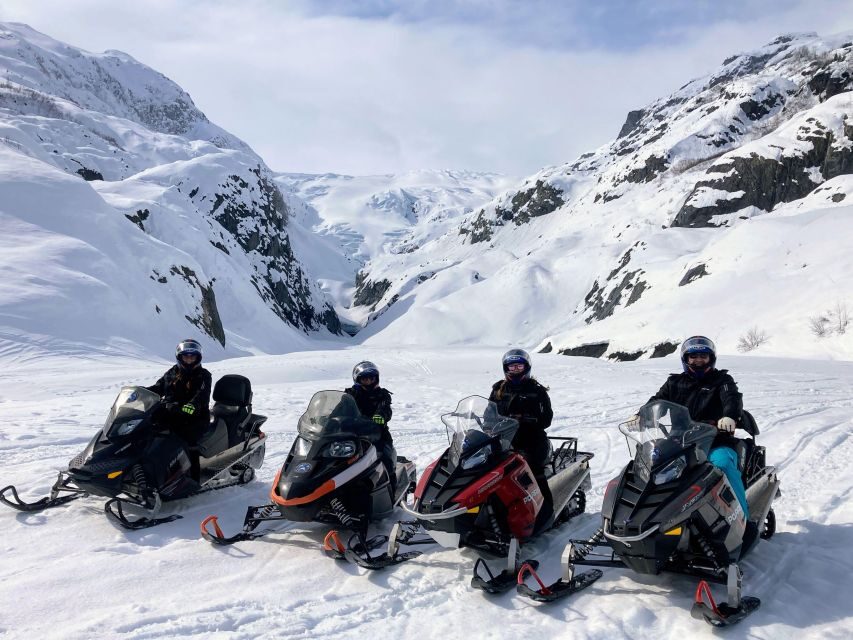 Snowmobile Classic Tour in Kenai Fjords National Park - What Travelers Say