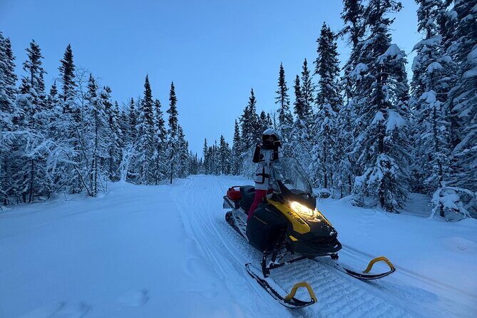 Snowmobile Riding Adventure in Golden Town - Why This Tour Is a Great Choice