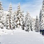 Snowshoe Through Vancouver's Winter Wonderland - Whats Included and How It Adds Value