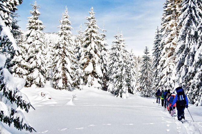 Snowshoe Through Vancouver's Winter Wonderland - Whats Included and How It Adds Value