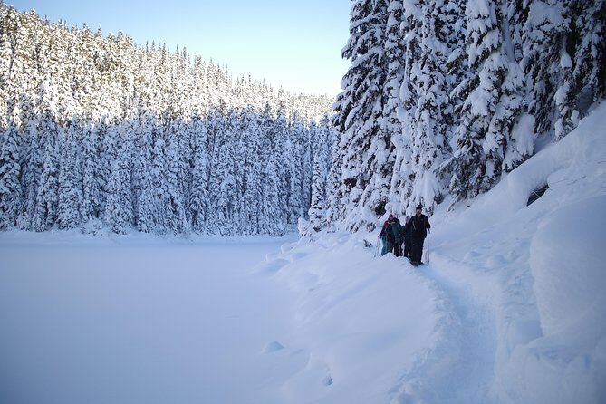 Snowshoe Tours - Final Thoughts: Is It Worth It?