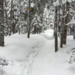 Snowshoeing Tour in Jacques-Cartier National Park - Who Will Love This Tour?