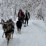 Snowshoeing with mountain goats Private activity - An In-Depth Look at the Experience