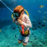 Snuba Cabo San Lucas Dive Without a Tank - Practical Details: Transportation, Duration, and Group Size