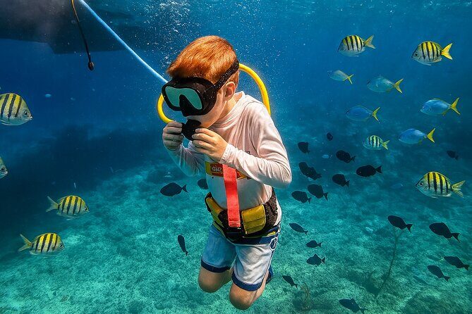 Snuba Cabo San Lucas Dive Without a Tank - Practical Details: Transportation, Duration, and Group Size