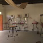 Solo Traveller Tonga 3.5 Hour Island Tour - In-Depth: What the Tour Offers