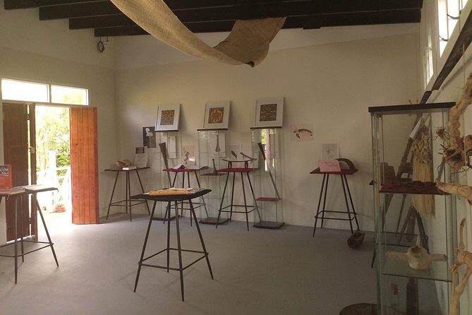 Solo Traveller Tonga 3.5 Hour Island Tour - In-Depth: What the Tour Offers