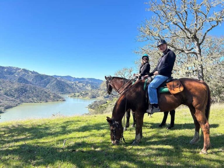 Sonoma County: Wine Country Horseback Riding Adventure - Why This Ride Is Worth Consideration