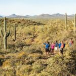 Sonoran Desert Guided Hike - Final Thoughts
