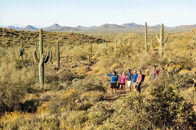 Sonoran Desert Guided Hike - Final Thoughts