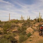 Sonoran Desert Guided Mountain Bike Tour - Detailed Review of the Sonoran Desert Guided Mountain Bike Tour