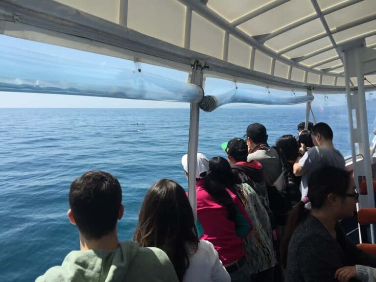 Sorrento,Mornington Peninsula: Wildlife & Sightseeing Cruise - Practical Details & What to Expect