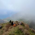 Soulful Safari - Final Thoughts: Who Will Benefit Most?