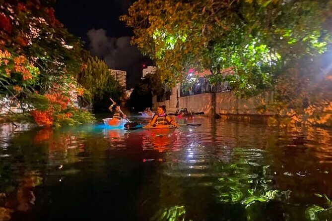 South Miami Beach Night Clear Kayaking Glow Tour - Who Will Love This Tour?