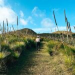 South Molle Island Self Guided Walking Tour - Detailed Breakdown of the Itinerary