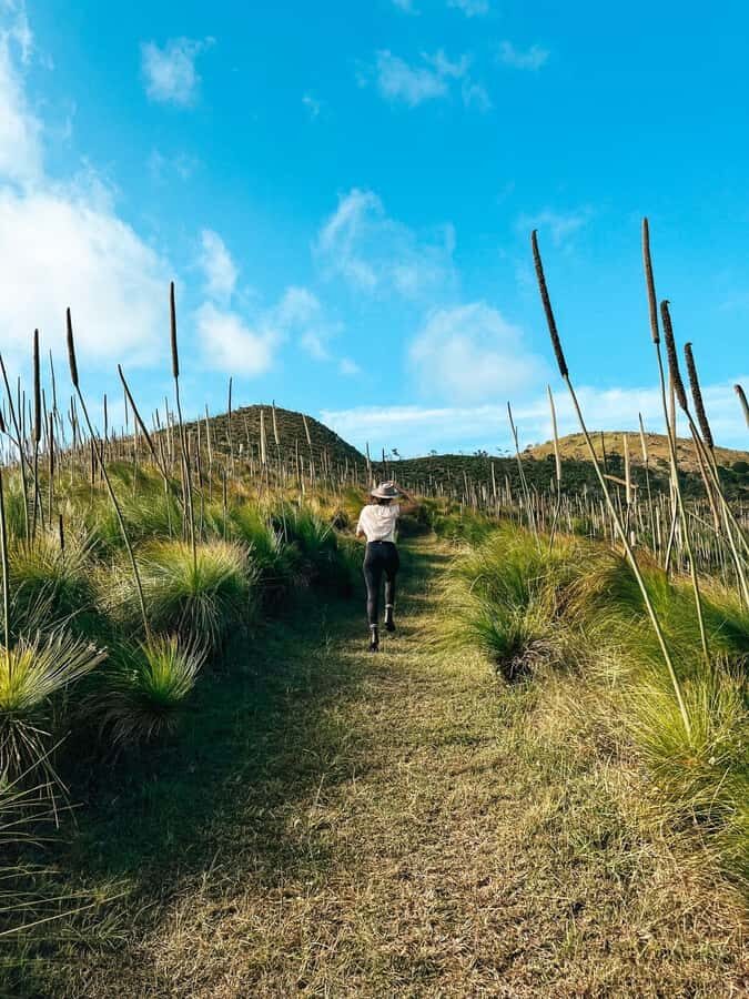 South Molle Island Self Guided Walking Tour - Detailed Breakdown of the Itinerary