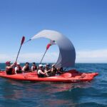 Southern Duo kayak & walk tour - Who Should Book This Tour?