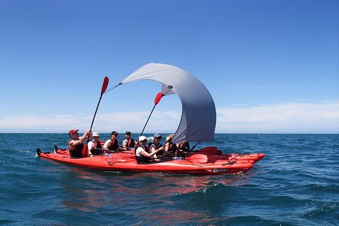 Southern Duo kayak & walk tour - Who Should Book This Tour?