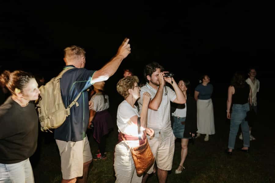 Southern Highlands: Nocturnal Wildlife Experience - Who Is This Tour Best For?