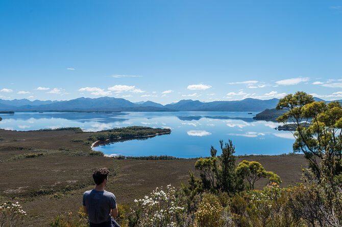 Southwest Tasmania Wilderness Experience: Fly Cruise and Walk Including Lunch - What Makes This Tour Special?