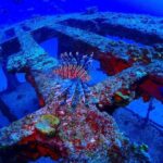 SPECIAL!! 2 Tank Wreck & Drift Reef dives - What Reviewers Love Most