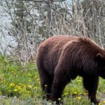 Special Magic Hour Photography Tour - Final Thoughts