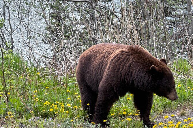 Special Magic Hour Photography Tour - Final Thoughts