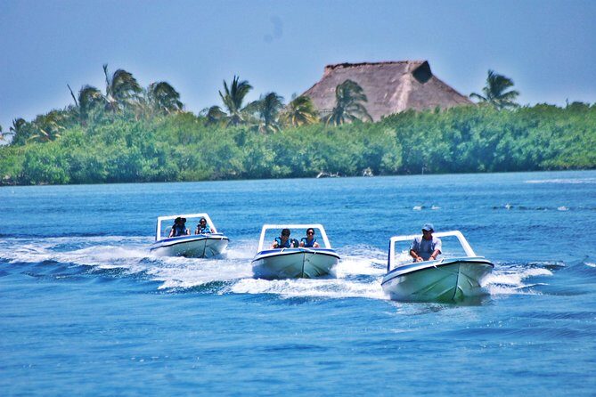 Speed Boat & Snorkel Tour with transportation ( only Cancun zone area) - Understanding the Value