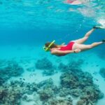 Speed Boat Tour for 2 - A Journey across Lagoon and Mangroves - Who Should Consider This Tour?