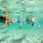 Speed Through Cancun: Explore Mangroves, Reefs & MUSA in One Tour - Practical Details and Tips