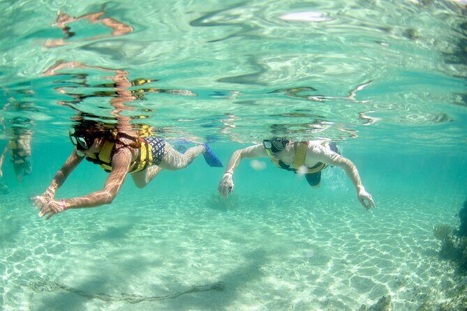 Speed Through Cancun: Explore Mangroves, Reefs & MUSA in One Tour - Practical Details and Tips