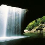 Springbrook Waterfalls & Natural Bridge Tour from Gold Coast - The Itinerary Breakdown
