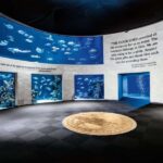 Springfield: Wonders of Wildlife National Museum & Aquarium - The Itinerary: What You Can Expect