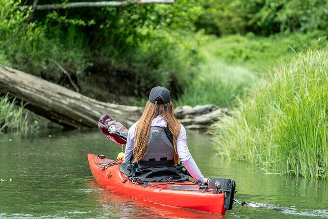 Squamish Full Day Expedition Kayak Rental - Pricing and Value