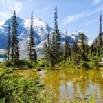 Squamish-Lillooet: Joffre Lakes Guided Hike - FAQs