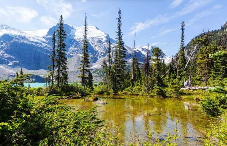 Squamish-Lillooet: Joffre Lakes Guided Hike - FAQs